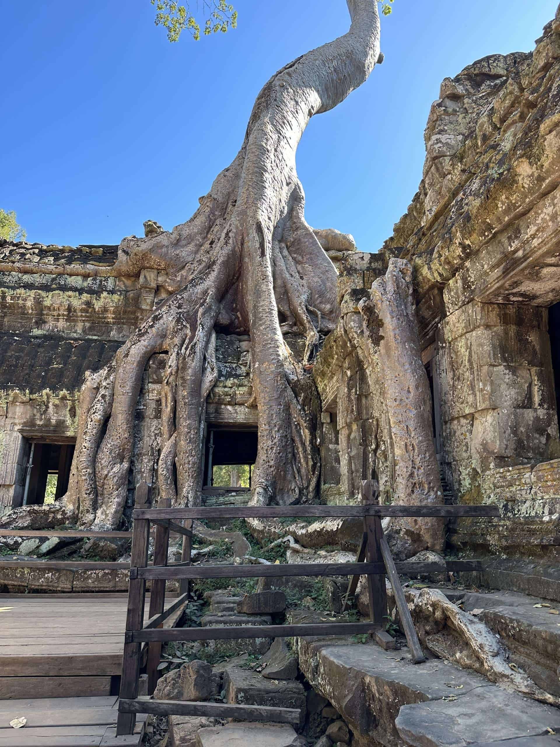 8th Wonder of the World: The Temples of Angkor Wat