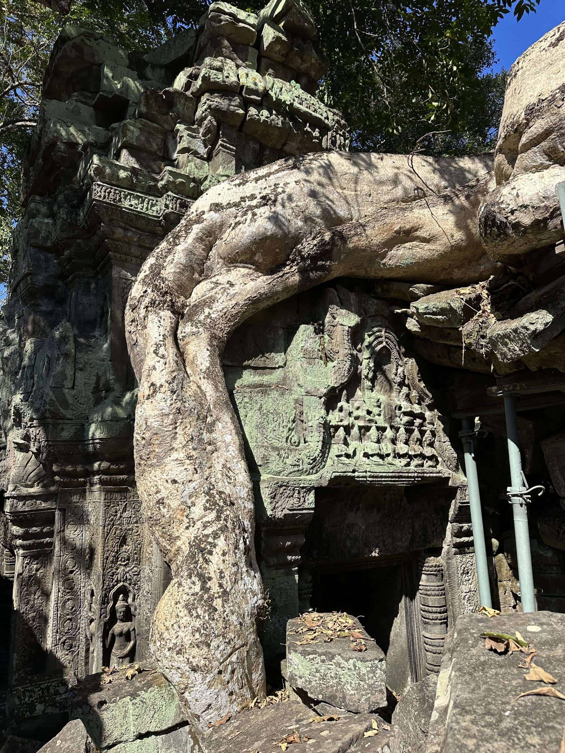 Everything you need to know: Booking a Tour of Angkor Wat