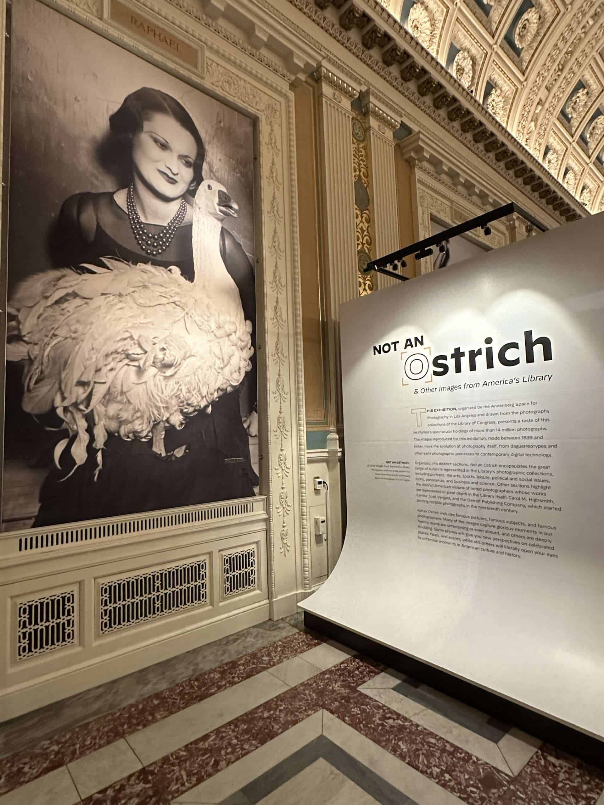 Live at the Library: The Most Unique Way to Visit the Library of Congress